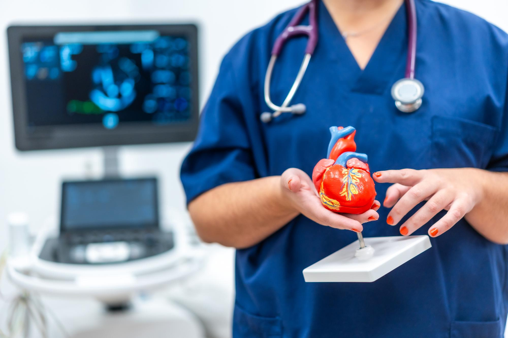 Inima umană: ghid complet despre structură, funcții și afecțiuni cardiace